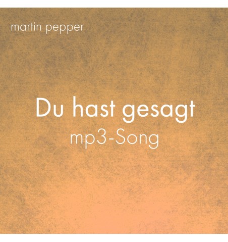Du hast gesagt - MP3 Song